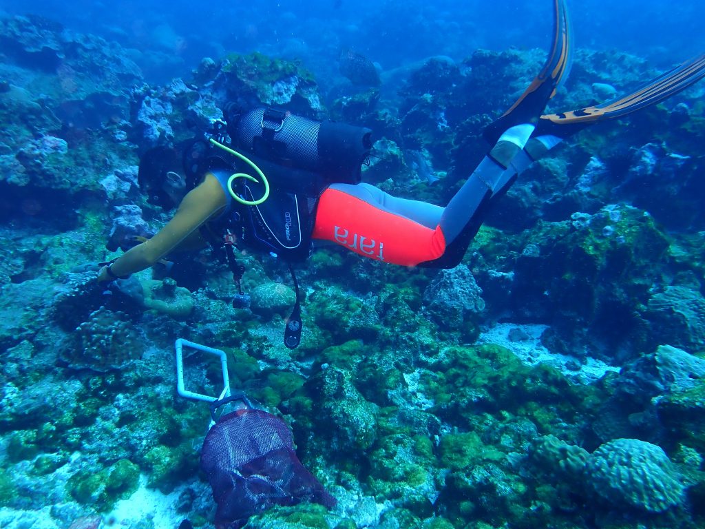 TARA Pacific Expedition – supported and coordinated by the Tara ...